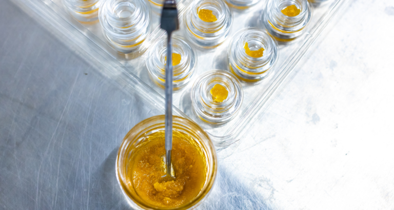 What Are Cannabis Concentrates and How Are They Made? | Modern Canna | MCS