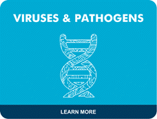 Cannabis Testing | Cannabis Testing Lab & Quality Control | MCS