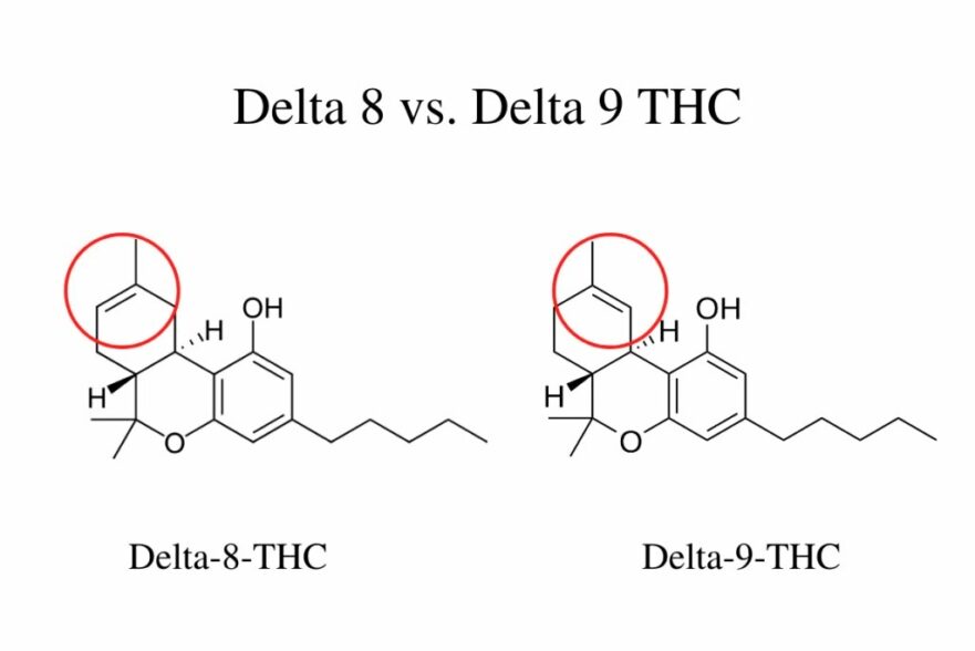Delta Duel: Navigating the Differences Between d9-THC and d8-THC ...